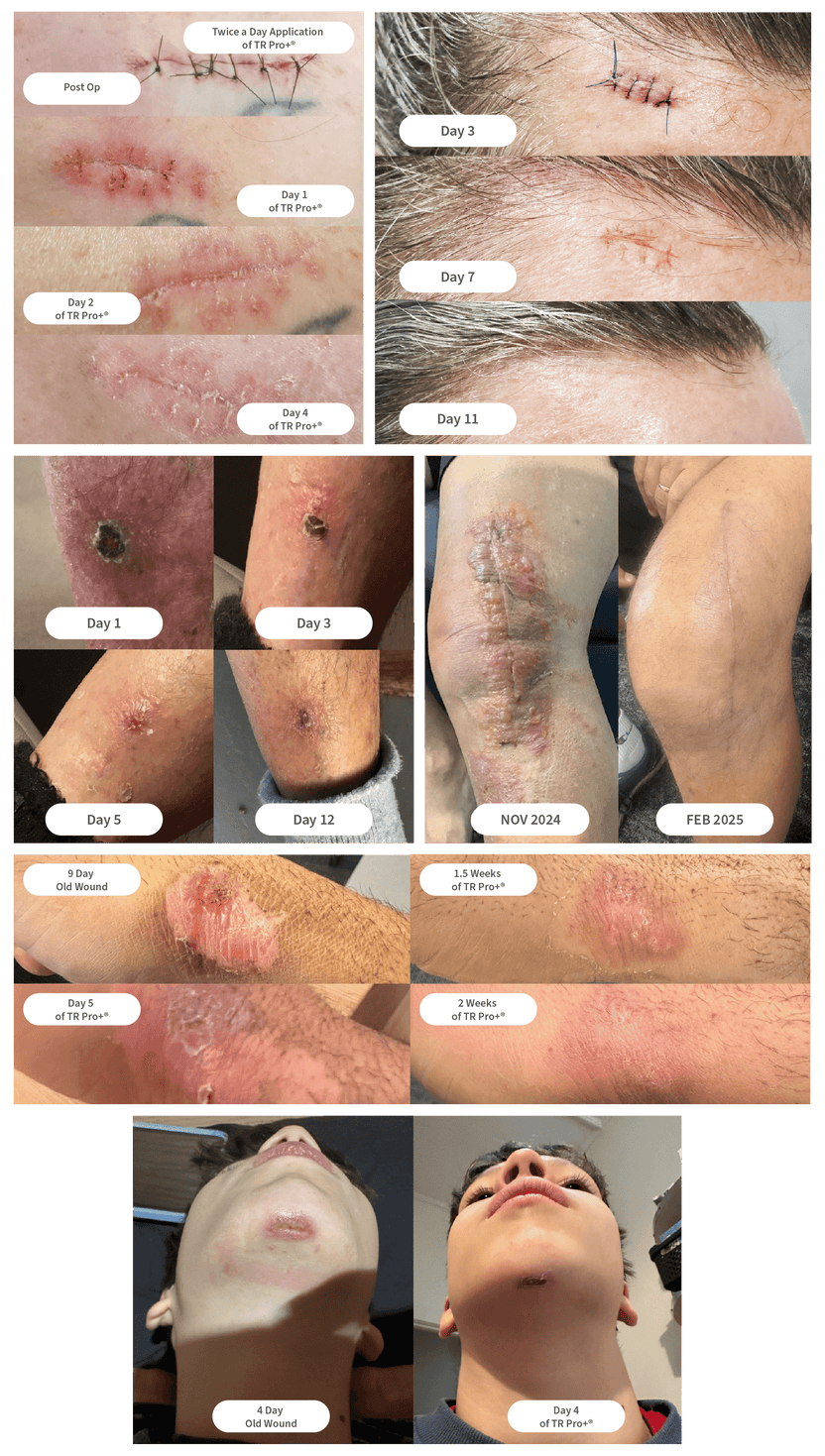 Case Studies – TR Pro